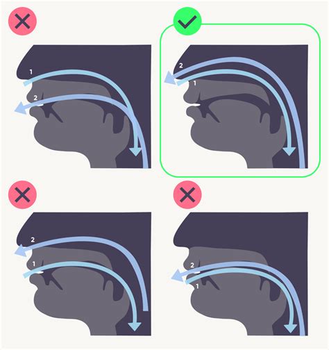 Mewing Guide 8 Steps To Success How To Video And Diagram Ach