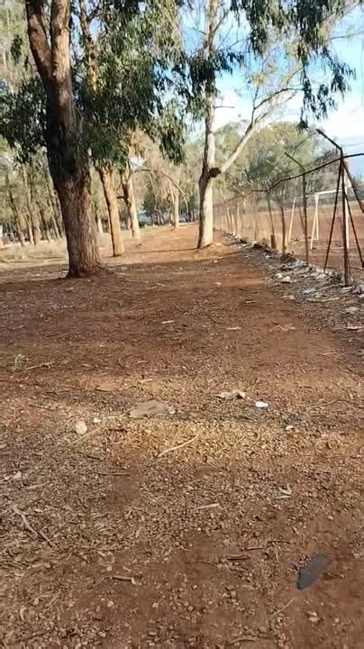 Youssef Chaibi On Linkedin The Healthy Mind In The Healthy Body And The First Achievements