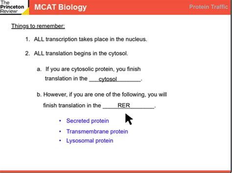 Mcat 5 Flashcards Quizlet