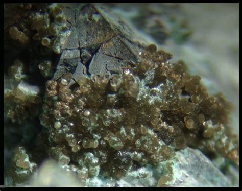 Chamosite