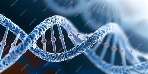 Dna Replication A Closeup Illustration Of Genetic Inheritance In