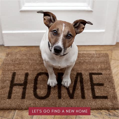 Alexandra Michelthe Keyes Company