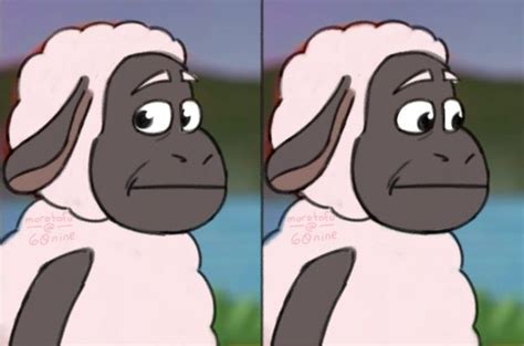 Wooly The Sheep 🐑🍑 Gracioso Amanda