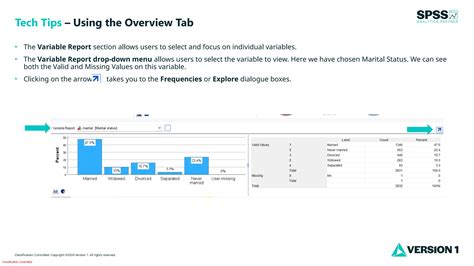 Using The Overview Tab In Ibm Spss Statisticspptx