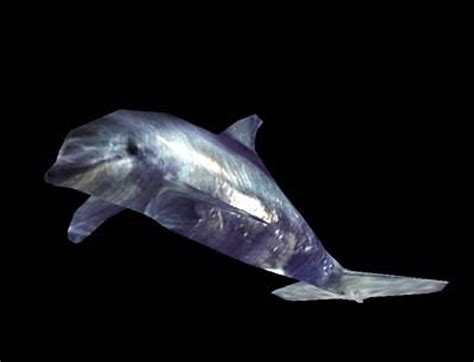 Free 3ds Model Delphin