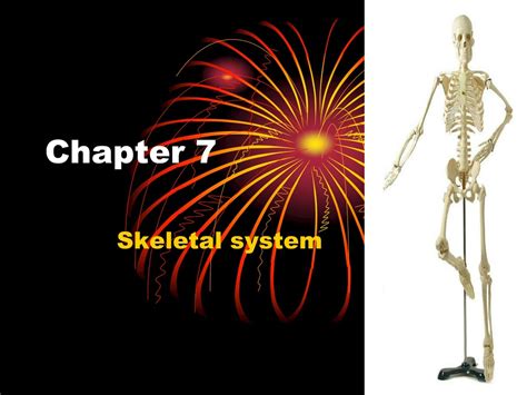 PPT Chapter 7 PowerPoint Presentation Free Download ID 176663