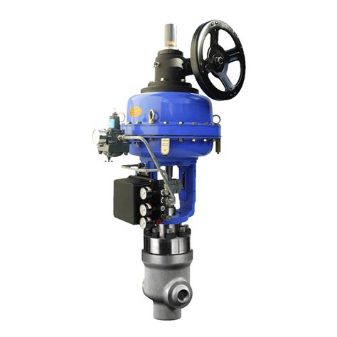 球心截止阀 100dsv Imi Critical Engineering 手动 控制 用于水