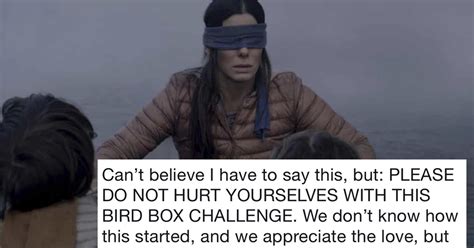 Netflix Warned People Not To Do The Bird Box Challenge Our