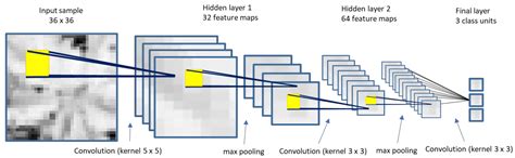 Remote Sensing Free Full Text Detection Of Banana Plants Using