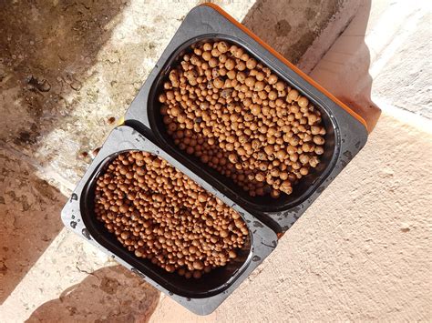 First Timer Hydroponics Dwc System 9 Steps With Pictures Instructables