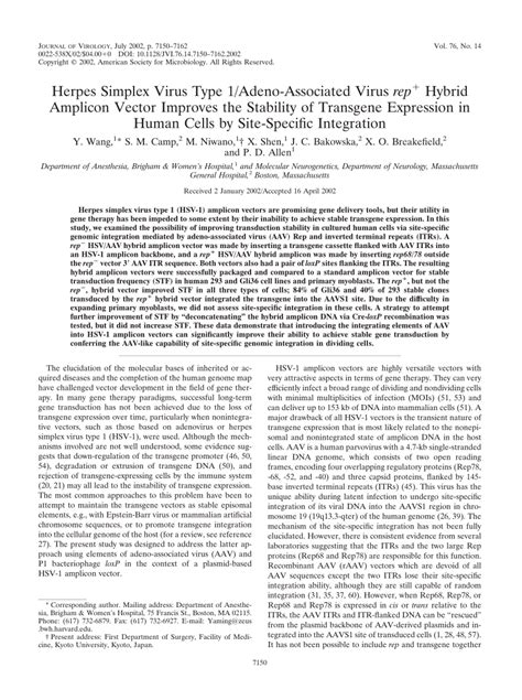 Pdf Herpes Simplex Virus Type 1adeno Associated Virus Rep Hybrid Amplicon Vector Improves