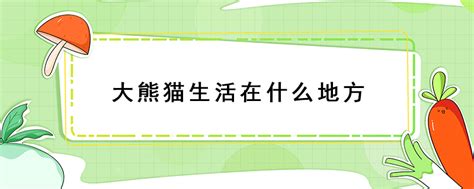 大熊猫生活在什么地方 鲜淘网