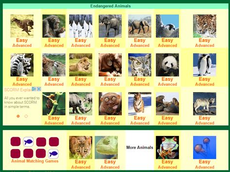 Memory Match Technology Curriculum