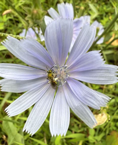 Consider This Your Sex Talk Album On Imgur