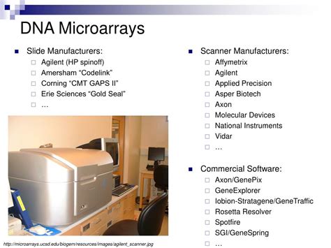ppt fusing results from microarray experiments powerpoint presentation id 4340584