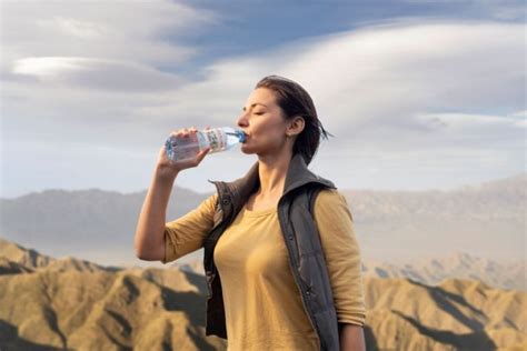 Una Marca De Agua Que No Hace Agua MDZ Online