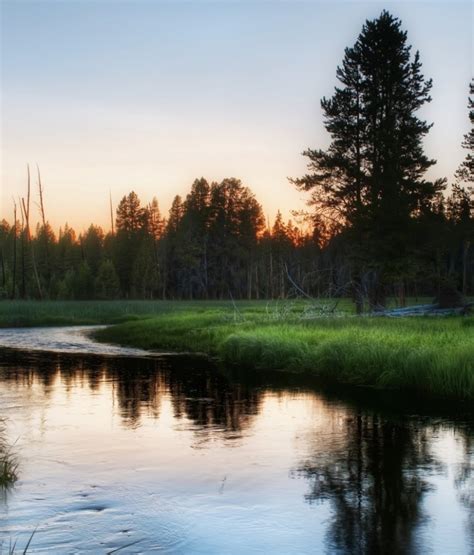 1366x1600 River Grass Evening 1366x1600 Resolution Wallpaper Hd