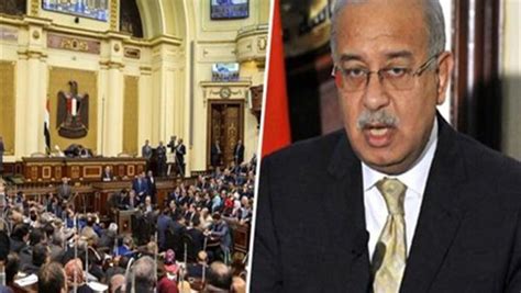 نائب الرقابة على الأسعار دور الحكومة والبرلمان يحاسبها حال التقصير