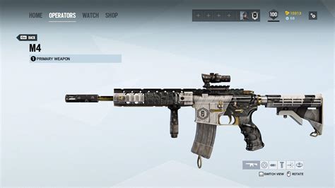 First Class Burglary Attachment Skin And The Pro League Weapon Skins