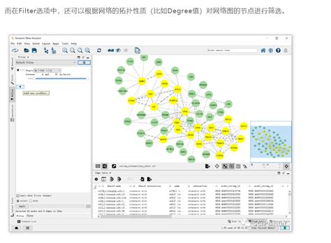 【附安装包】cytoscape软件下载、安装、插件学习 基础教程 Csdn博客