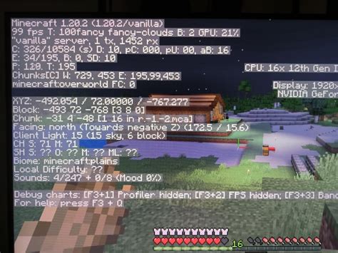 Cant See Day Counter F3 R Minecraft