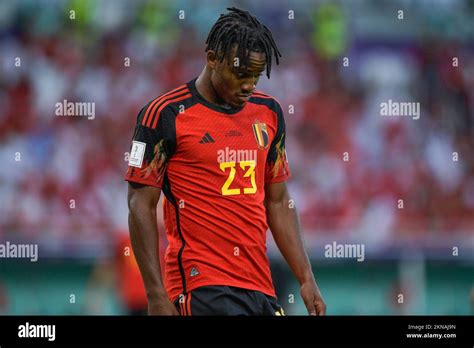Doha Qatar November 27 Michy Batshuayi Of Belgium Looks Dejected