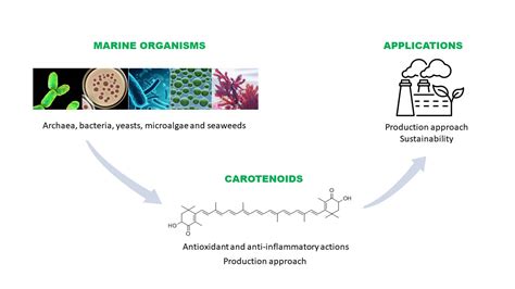 Archaea Vs Bacteria