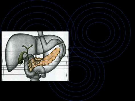 Осенний семестр Л 4