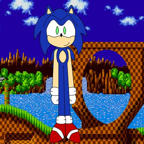 Sonic The Hedgehog By Chubbysonicfan On Deviantart