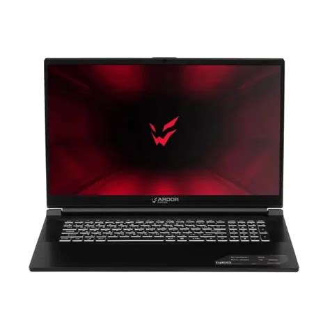 Купить недорого Ноутбук ARDOR GAMING NEO G17-I5ND301, 17.3 ", NVIDIA ...