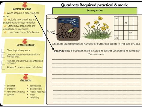 Gcse Biology 2 Quadrats Required Practicals Duo Pack Gcse Biology Aqa Paper 2 Teaching