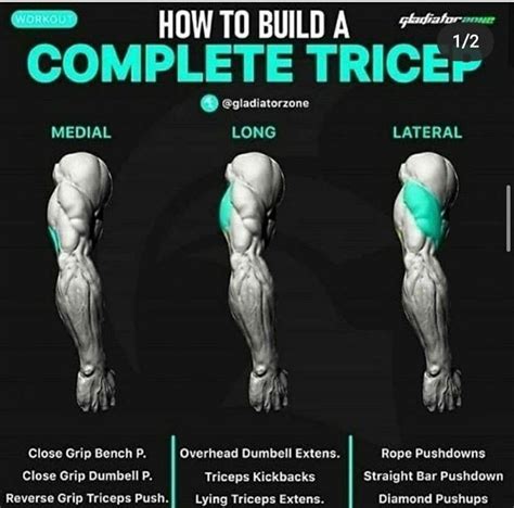 Pin On Triceps
