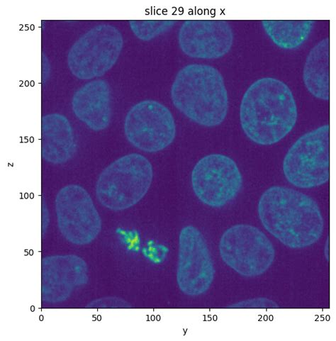 generate a tetrahedral mesh from 3d cells data — nanomesh 0 8 1