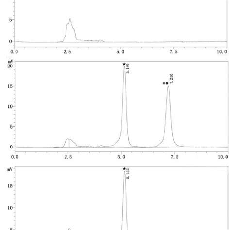 Hplc Chromatograms Of A Blank Plasma B Blank Plasma Spiked With