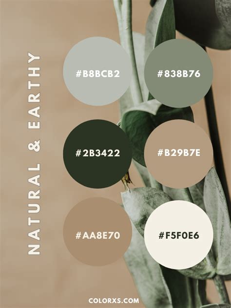 PANTONE 11 4302 TCX Cannoli Cream Color Palettes Colorxs