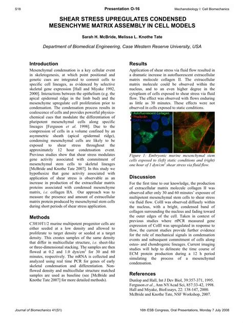 Pdf Shear Stress Upregulates Condensed Mesenchyme Matrix Assembly In Cell Models Dokumentips