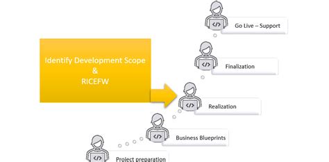 Quick Tips To Mastering Ricefw In 2021 Saptutorials On Tumblr