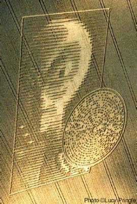 Crop Circle Binary Code Alien Face Pictures Images Photos Photobucket