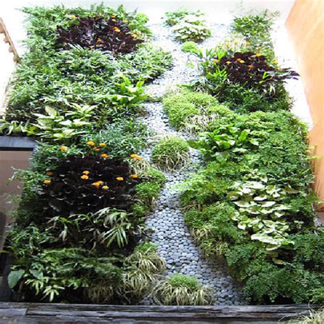 室内攀岩植物墙 广州市圣杰园林景观设计有限公司