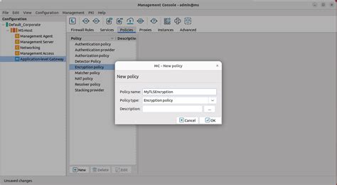 Procedure Enabling TLS Encryption In The Connection How To Configure HTTPS Proxying