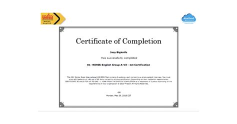 Nihss Certification Test Answers Group C