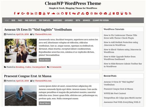 CleanWP Free Clean WordPress Theme ThemesDNA Com