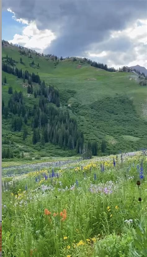 How To Plan The Best Interlaken Itinerary For 1 14 Days Artofit
