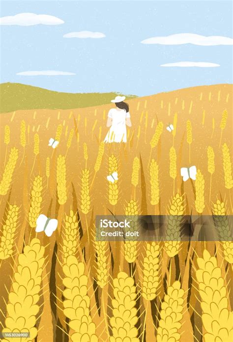 잘 익은 밀과 여자가 있는 시골 밭 시리얼 호밀 밭 옐로우 골드 가을 농업 식물 농업 밀 수확 푸른 하늘 구름 수채화 손으로