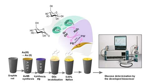 Main Steps Of Gr Electrode Modification And Application Of
