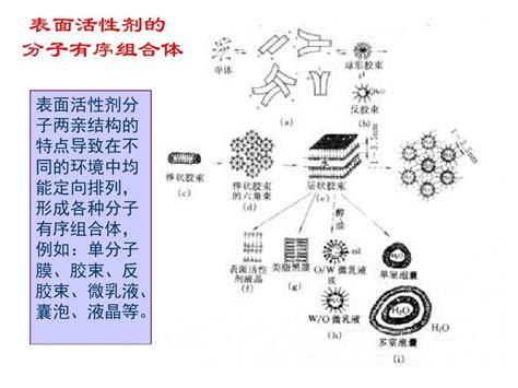 胶体与界面化学6word文档在线阅读与下载无忧文档
