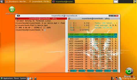 Cara Mudah Menampilkan Info Proses Transfer File Di Terminal Linux Mari Berbagi