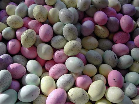 Chocolate eggs Free Photo Download | FreeImages