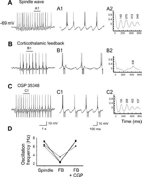 Corticothalamic Induced Slow Oscillation Is Gaba B Dependent A