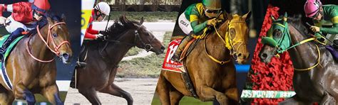 2025ドバイワールドカップ Jra Van World 海外競馬情報サイト